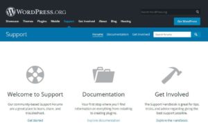 Need WordPress Help? What to Do When You Need Help with WordPress ...