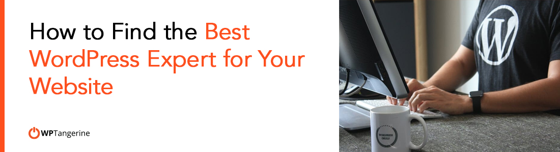 How to Find the Best WordPress Expert for Your Website
